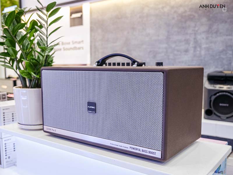 Loa Karaoke Mini Xách Tay Aurec CH390 Pro II - AnhDuyen Audio